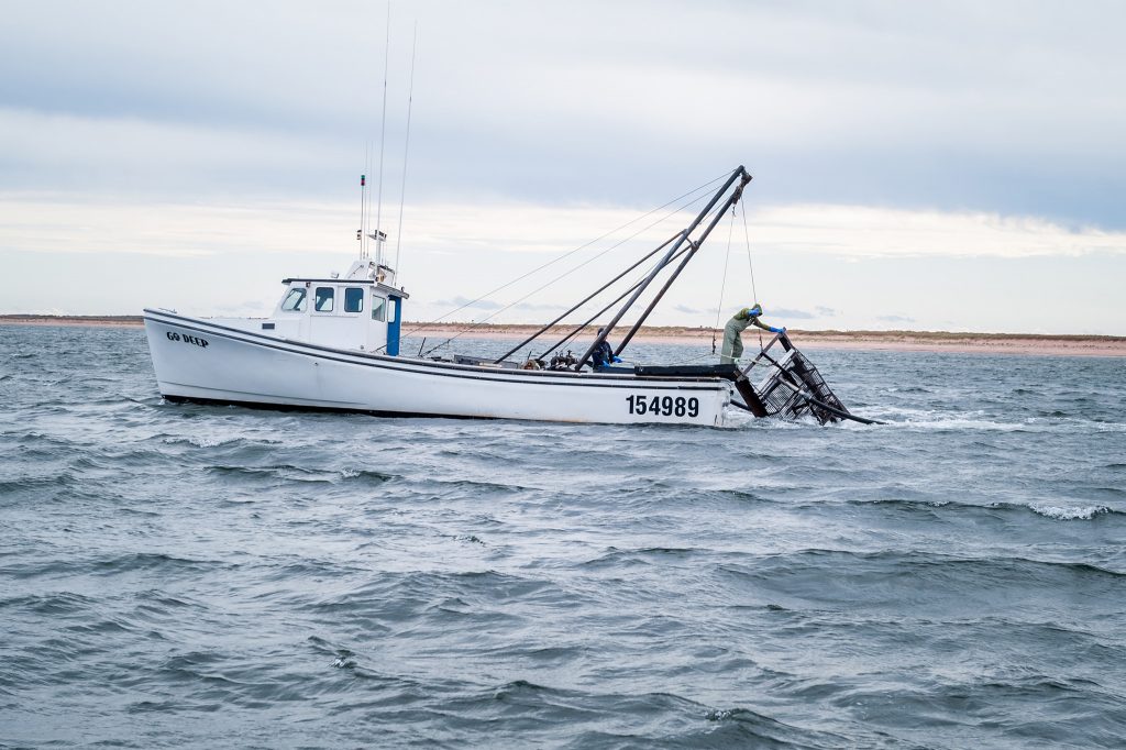 A Day on a Clamming Boat - Heather Ogg Blog
